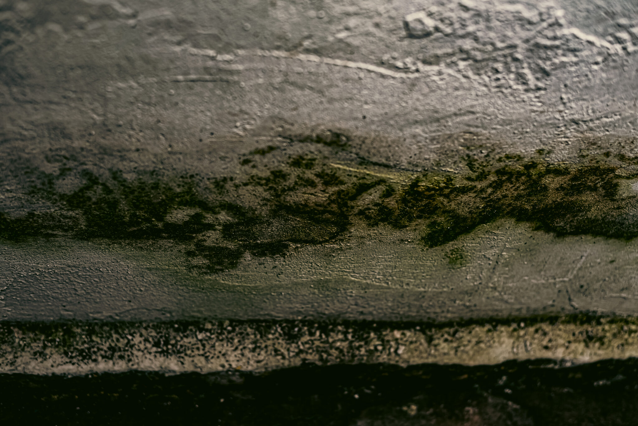 The Complete Guide to Resolving Damp Issues in Your Home